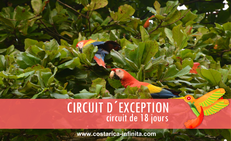 Circuit d'Exception - Costa Rica Infinita, Agence de Voyage au Costa Rica