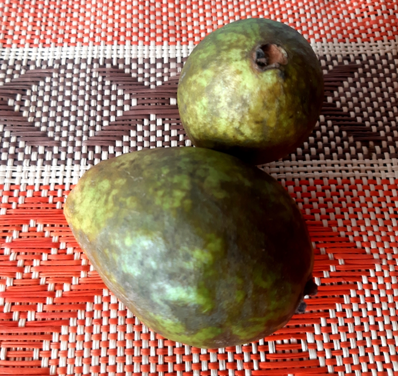 Les fruits tropicaux du Costa Rica - Costa Rica Infinita, Agence de ...