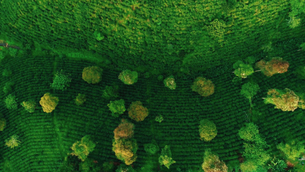 The most beautiful villages in Costa Rica - Costa Rica Infinita, travel ...