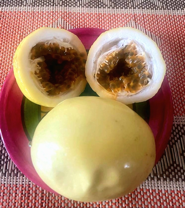 Costa Rican tropical fruits - Costa Rica Infinita, travel agency in ...