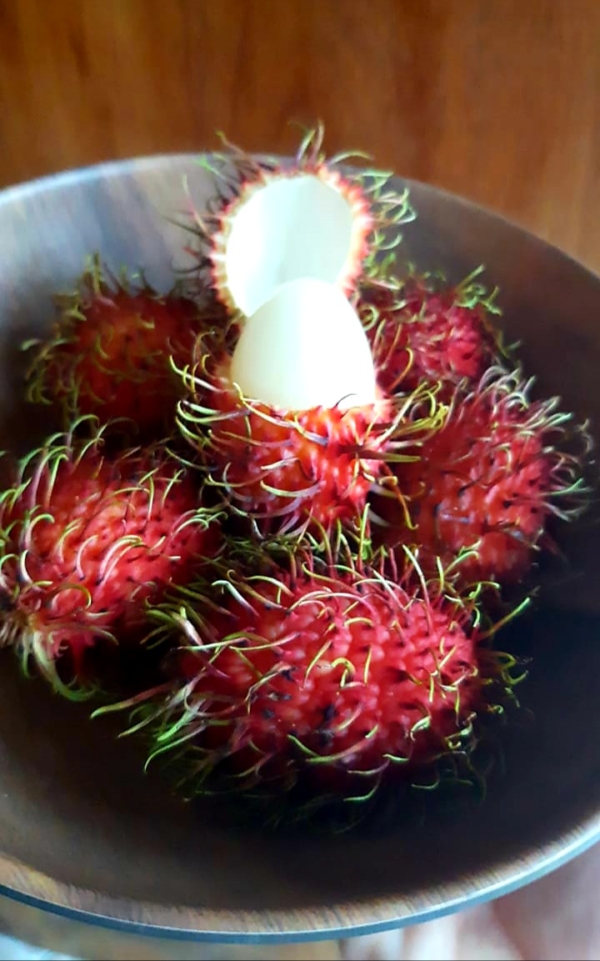 Les fruits tropicaux du Costa Rica - Costa Rica Infinita, Agence de ...