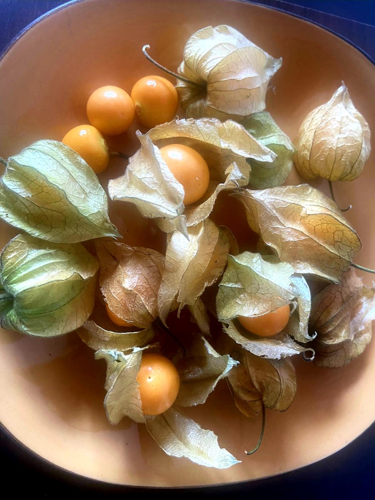 Les fruits tropicaux du Costa Rica - Costa Rica Infinita, Agence de ...